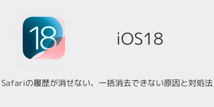 【iPhone】Safariの履歴が消せない・一括消去できない原因と対処法 | SBAPP