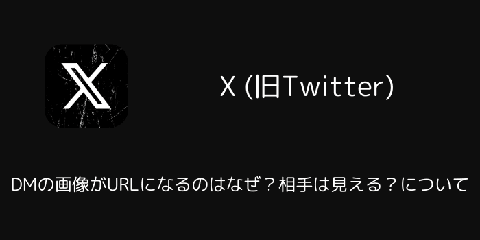 X(旧Twitter)でDMの画像がURLになるのはなぜ？相手は見える？について | SBAPP
